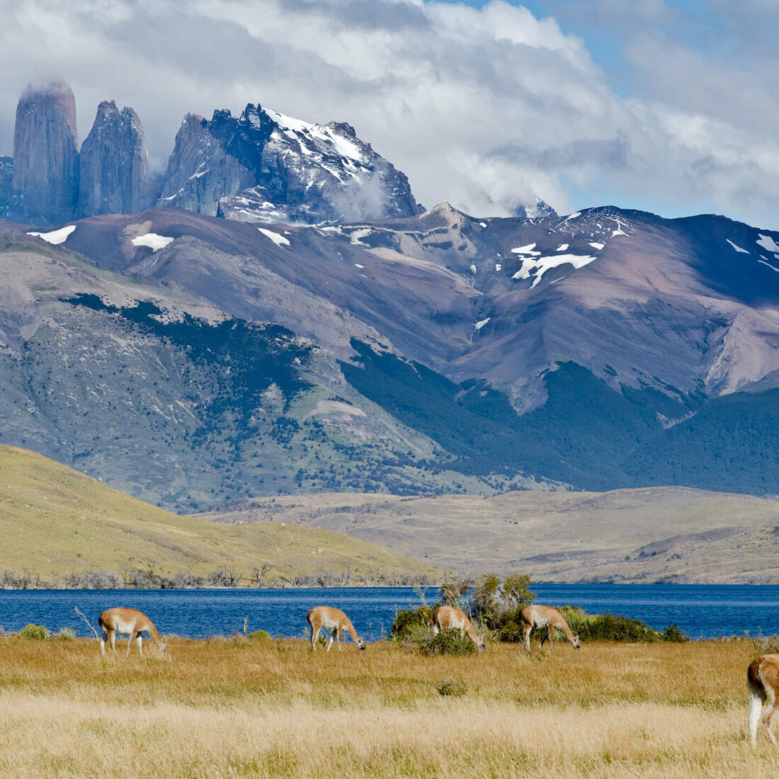 Patagonia Expedition: A 7-Day Journey Capturing the Untamed Beauty of ...